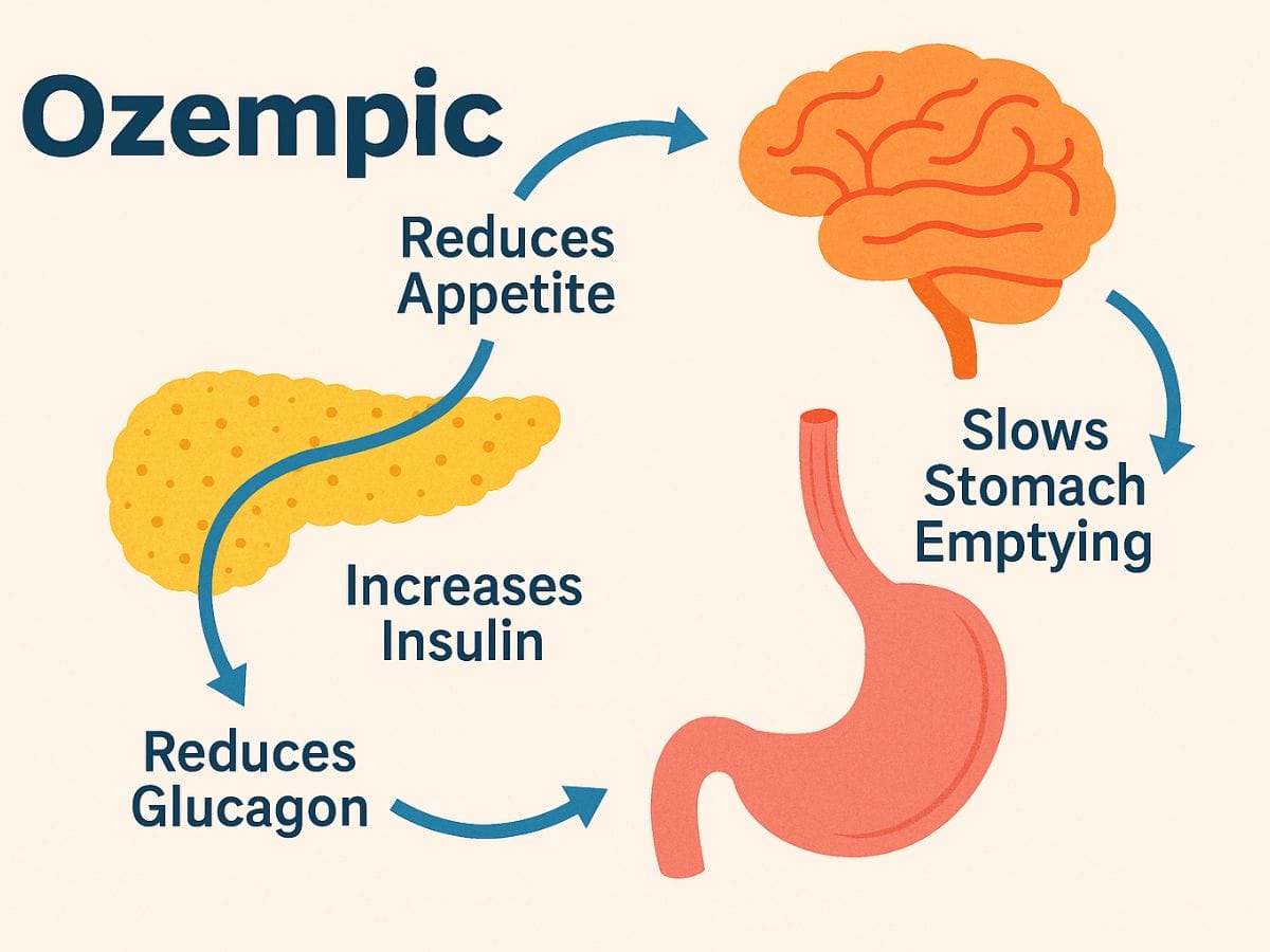 How Does Ozempic Work—and What Are the Risks? - Fiit Project